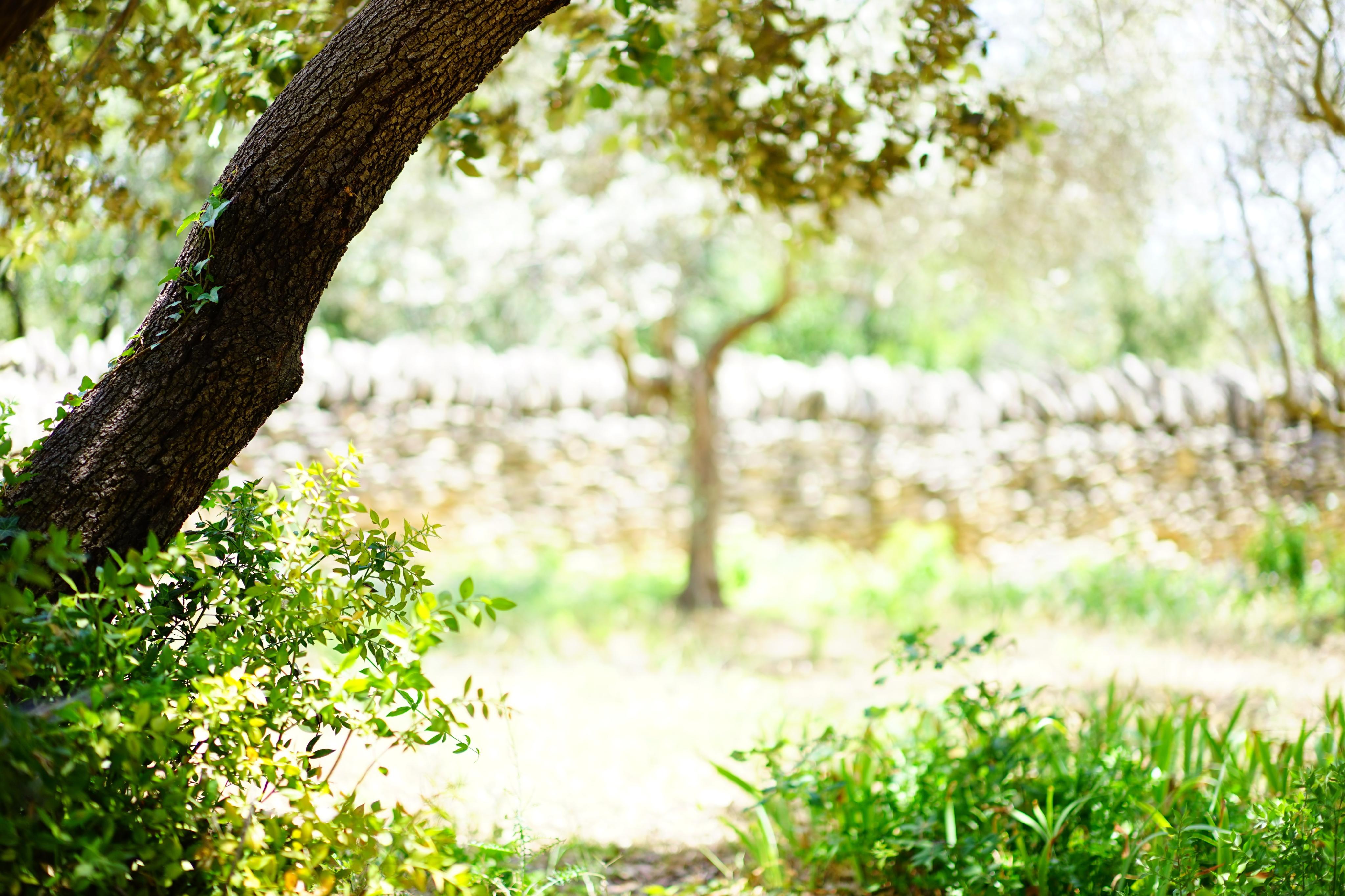 Nos missions | FNE Vaucluse